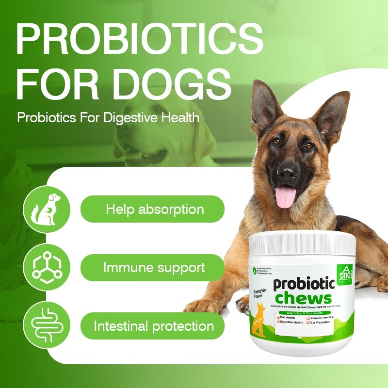 2pc Probiotic Chews For Dog Healthy Digestive Support & Gut Health Soft ...