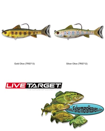 Live Target Trout Swimbait (TRS131MS) 5 Inch Pick Rainbow or Brown ...