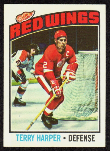 1976-77 Topps #122 Bill Lochead Detroit Red Wings NHL Card NM .... 12% ...