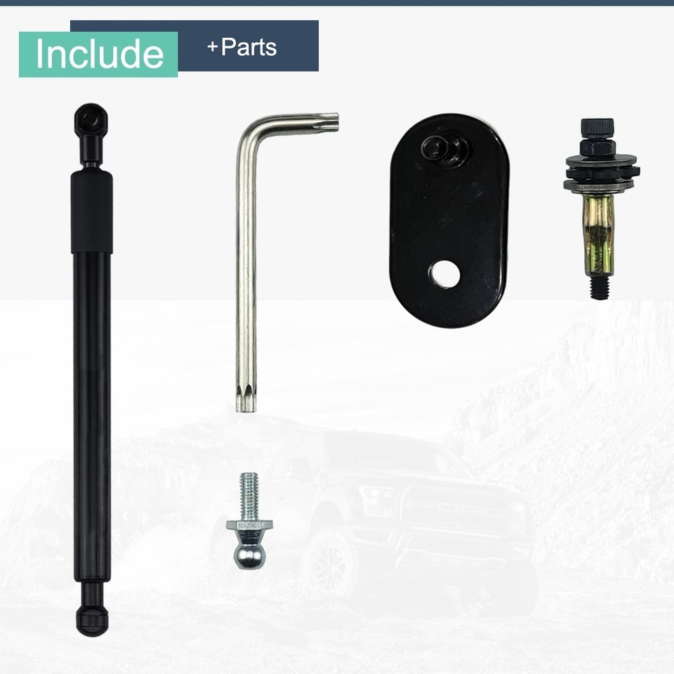 Tailgate Assist Strut for Ford F150 2004-2014 Lincoln Mark LT 2006-2008 ...
