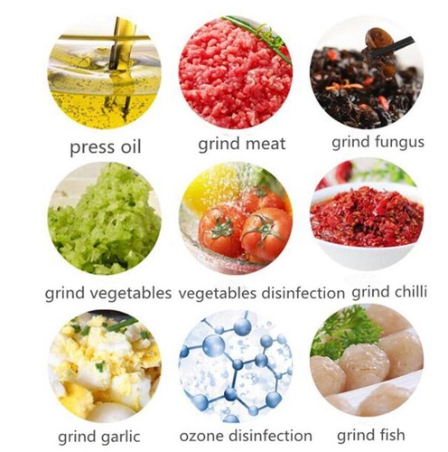 4in1 Oil Press Machine,Sausage Filler,Meat/Vegetables Grinder,Ozone ...