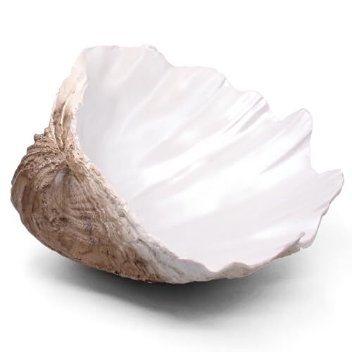 Clam Shells Decorative Bowl Earth Tan Sea Shells Extra Large EarthTan ...