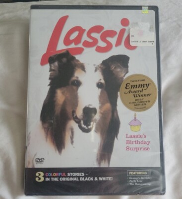 Lassie - Lassies Birthday Surprise (DVD, 2003) NEW & SEALED 74645601991 ...