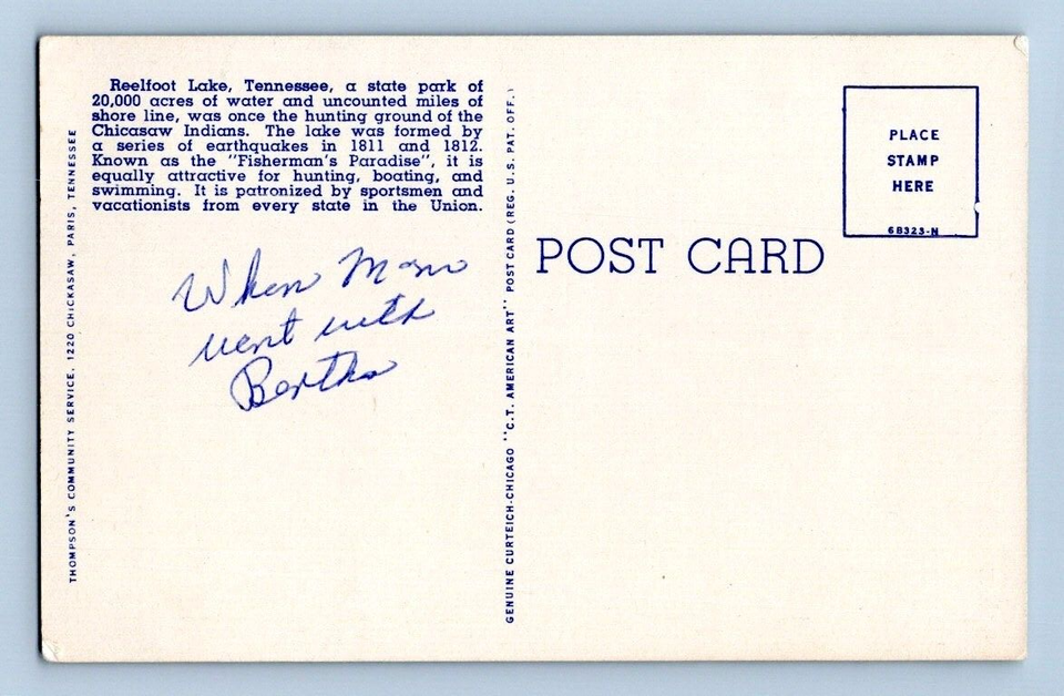 1940'S. REELFOOT LAKE, TENN. CYPRESS STUMPS. POSTCARD T35 | eBay