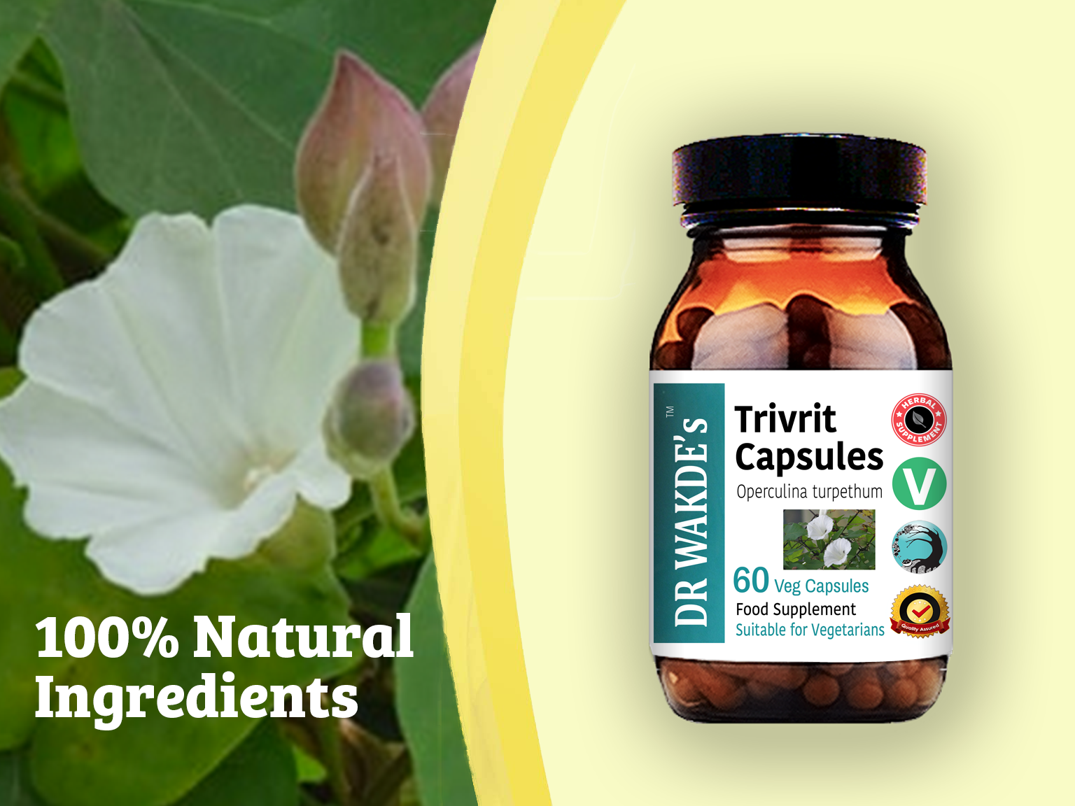 Dr Wakde's Organic Trivrit Capsules (nishottar) I for sale online | eBay