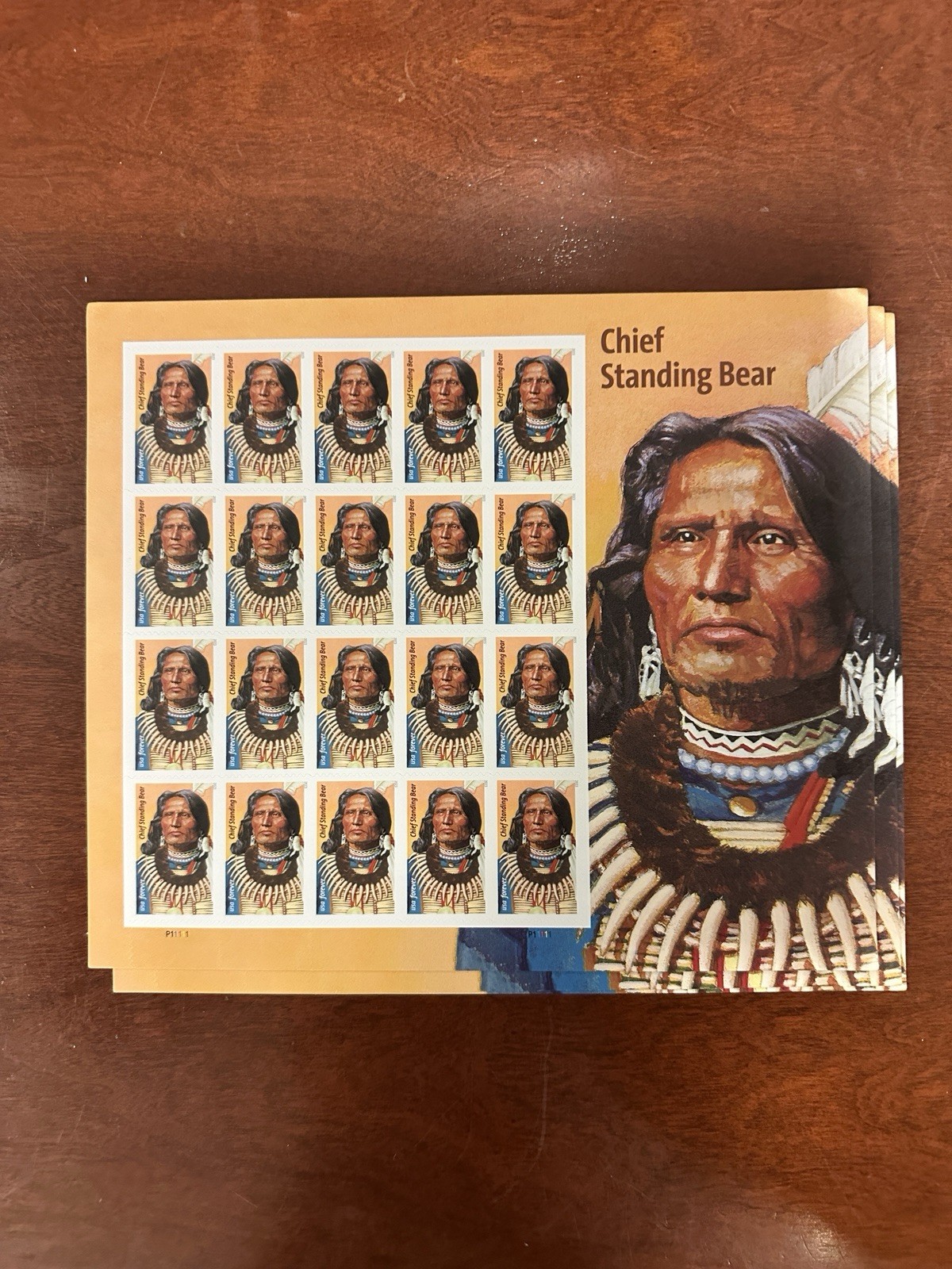 100 Stamps Chief Standing Bear 5 Pane of 20 USPS Forever Stamps Scott ...