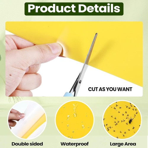 25×20cm Double-Sided Sticky Traps (50-Pack): Yellow/Blue, Thrips ...