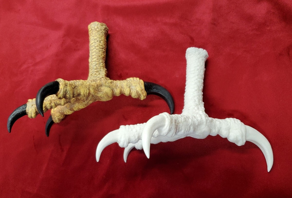 Harpy Eagle Talons