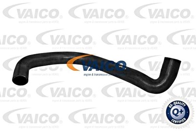 Radiator Pipe Lower VAICO Fits MERCEDES W210 2105012282 | eBay