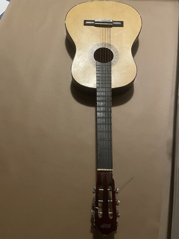 Goodlin Vintage Guitar – Rare Find, Great Condition, Warm Tone | eBay