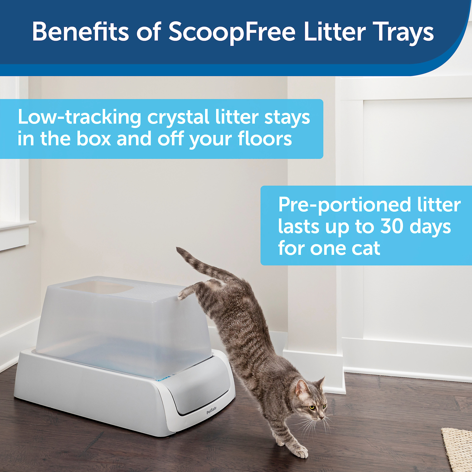 PetSafe ScoopFree Automatic Self Cleaning Cat Litter Box - Grey for ...