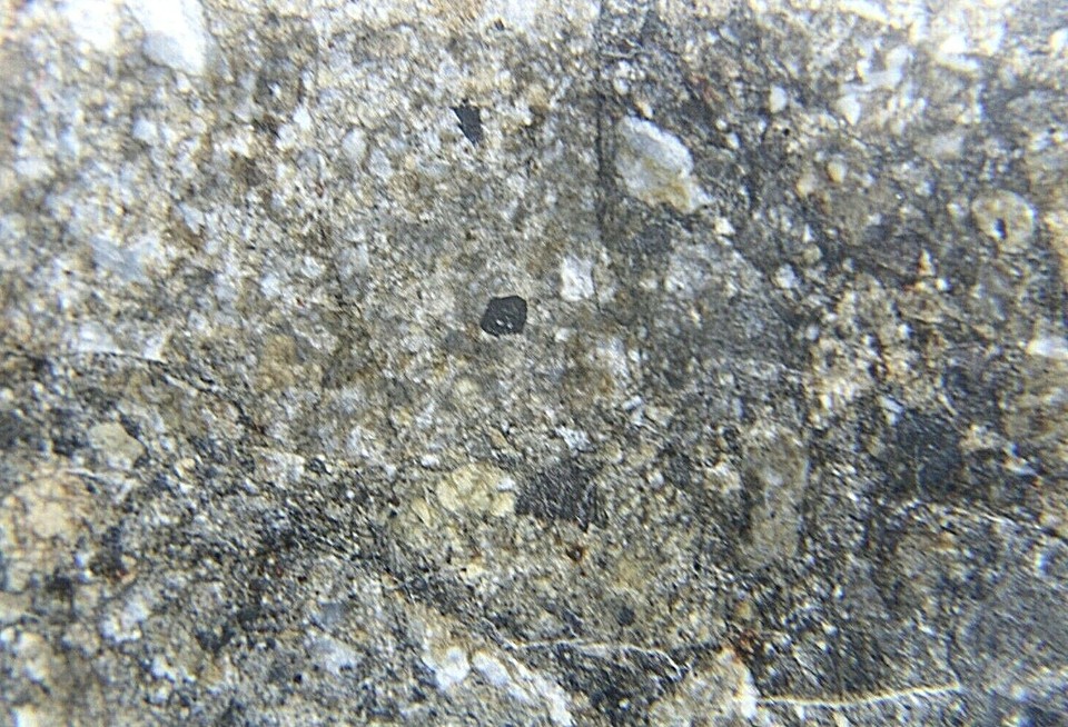 Meteorite NWA 13280 HED Achondrite polymict breccia Eucrite meteorite ...