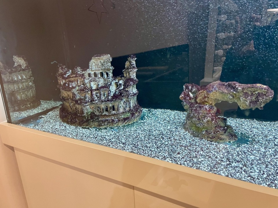 Large Cream Aquarium Fish Tank | eBay UK
