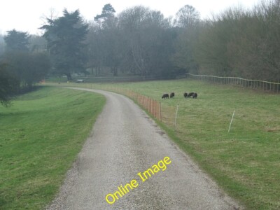 Photo 6x4 Driveway To Shelley Hall Lower Raydon This part of the ...