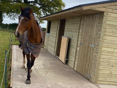 12ft x 24ft HORSE STABLE BLOCK PLUS 6ft TACK ROOM STATIC Free Delivery ...
