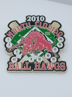 2010 Ball Hawgs Pin Little League Baseball 12U North Florida Pin | eBay