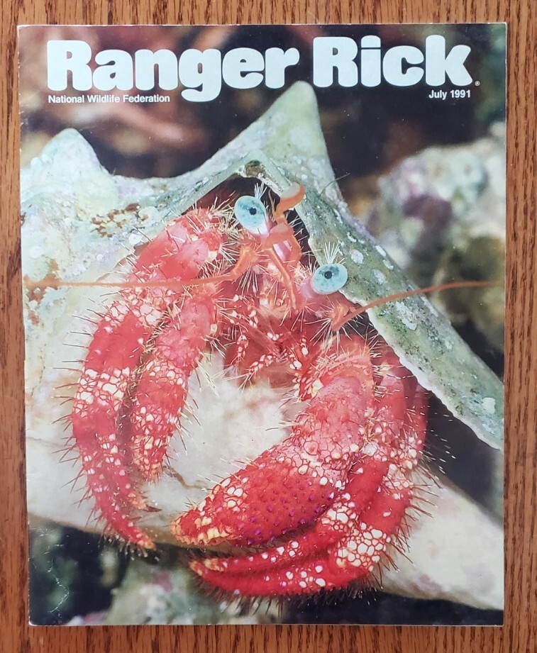 Lot of 12 Vintage Ranger Rick Magazines 89,90,91 National Wildlife ...