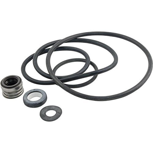 Pentair PP3000 Seal Gasket Kit for Sta-Rite DynaGlas, DynaPro, DynaJet ...