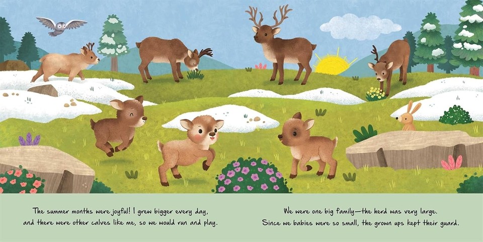 Rose Harkness Gisela Boh rquez Nature Stories: Little Reindeer (Board ...