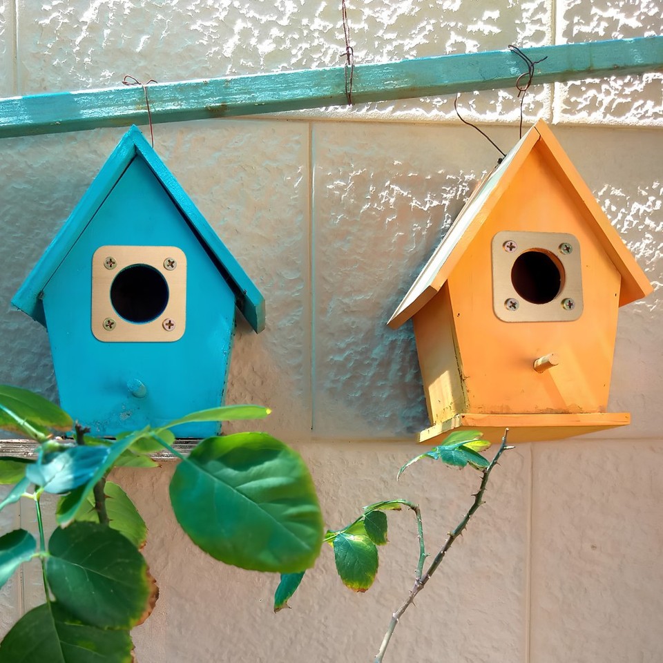 8 Pcs Bird House Hole Protectors Copper Thick Birdhouse Enclosure ...