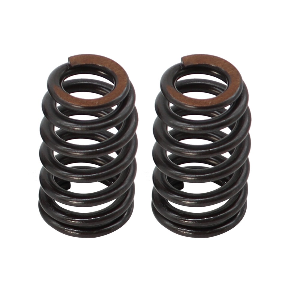 16* PAC-1218 Drop-In Beehive Valve Spring Kit for GM LS Engines 600 ...