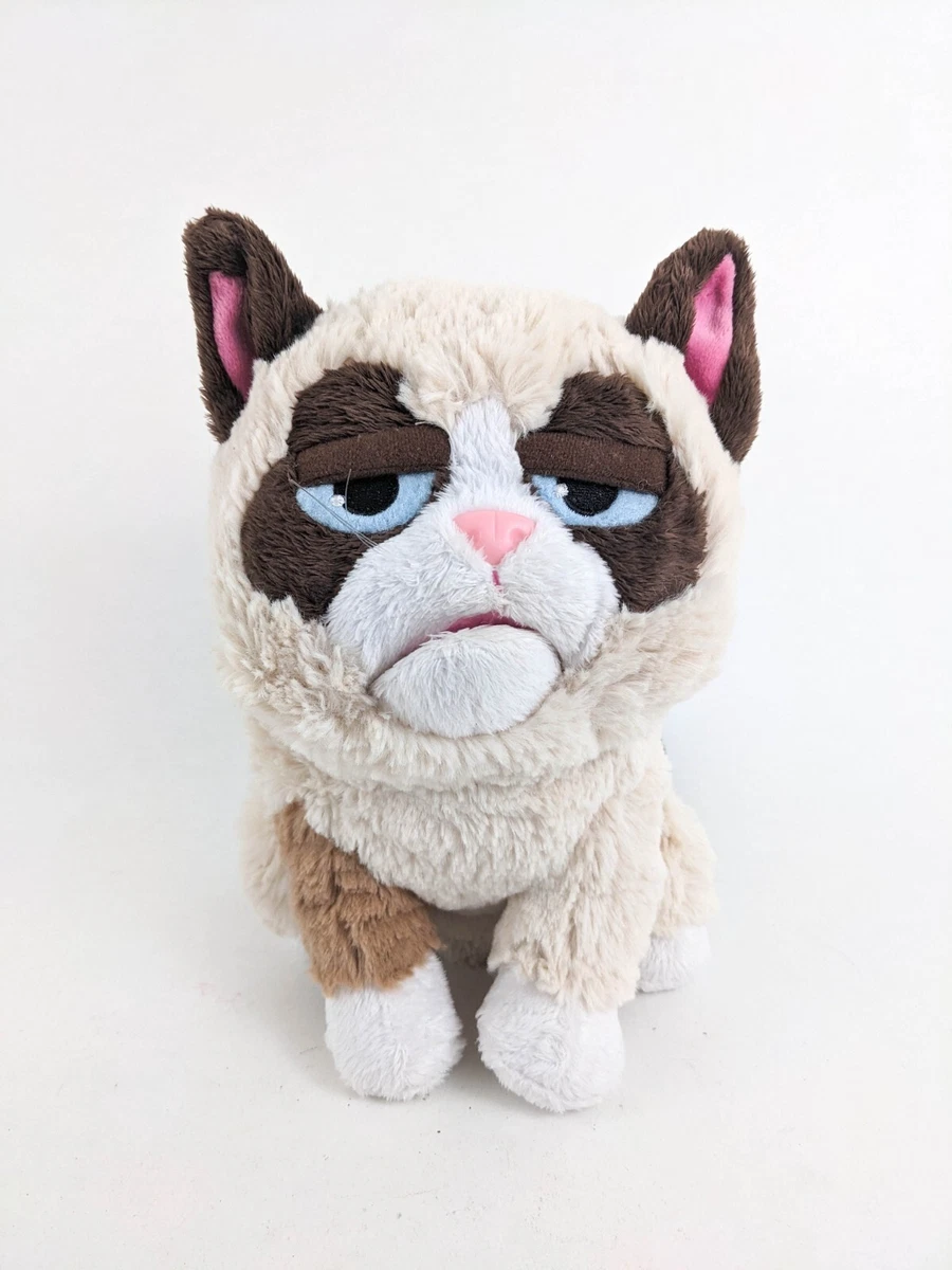 Any Questions Grumpy Cat