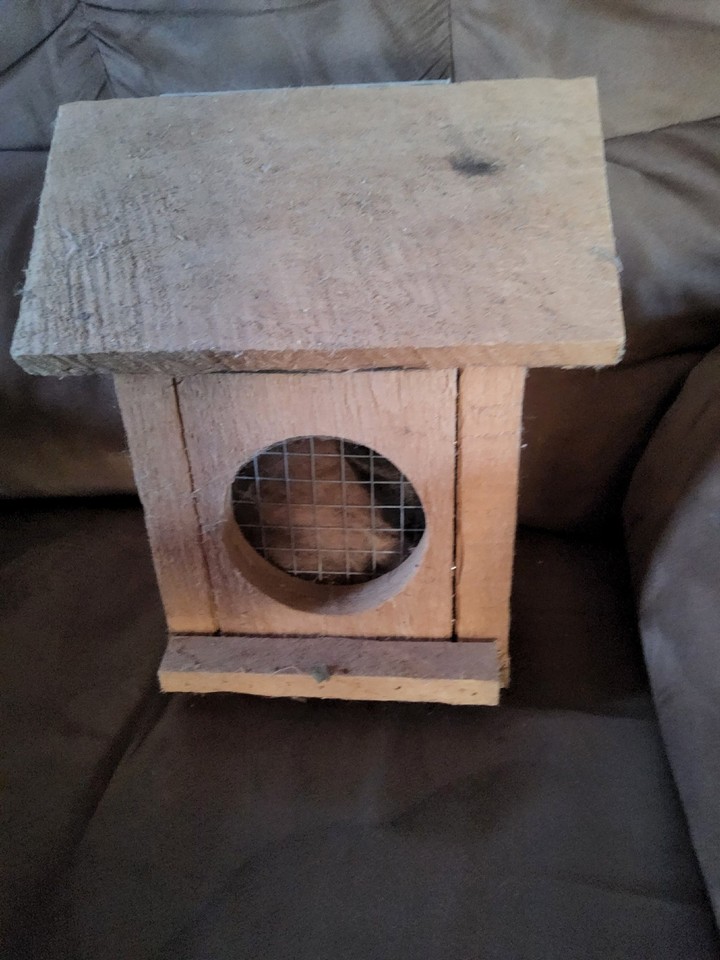 Handmade Alpaca Fiber Bird Nesting Box– Nesting Material Holder Made in ...