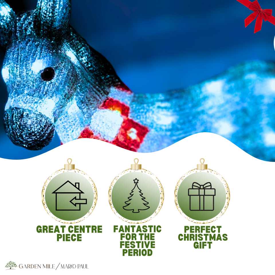 Christmas Acrylic Donkey Decoration Nativity LED Light Up Animal Xmas ...