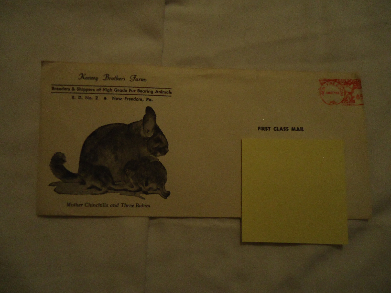 Keeney Brothers Farms breeders fur bearing animals NEW FREEDOM PA ...