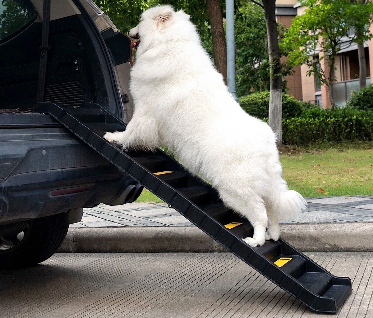 How to Safely Drive with Your Dog (or Any Pet) in the Car