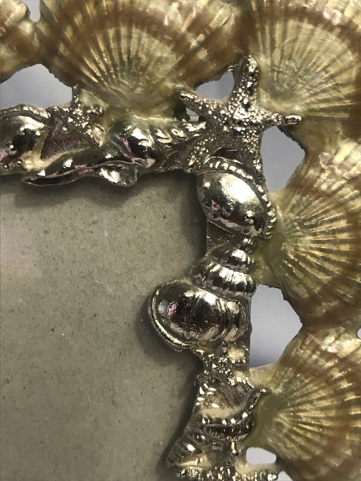 picture frame With Shells & Acrylic 4x6 Photos | eBay