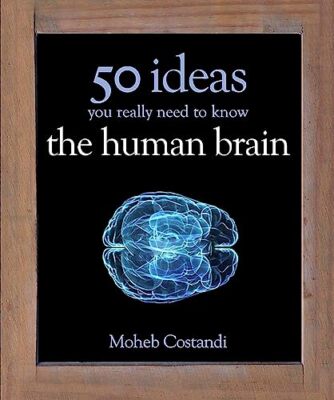 50 Human Brain Ideas You Really Nee..., Costandi, Moheb | eBay Australia