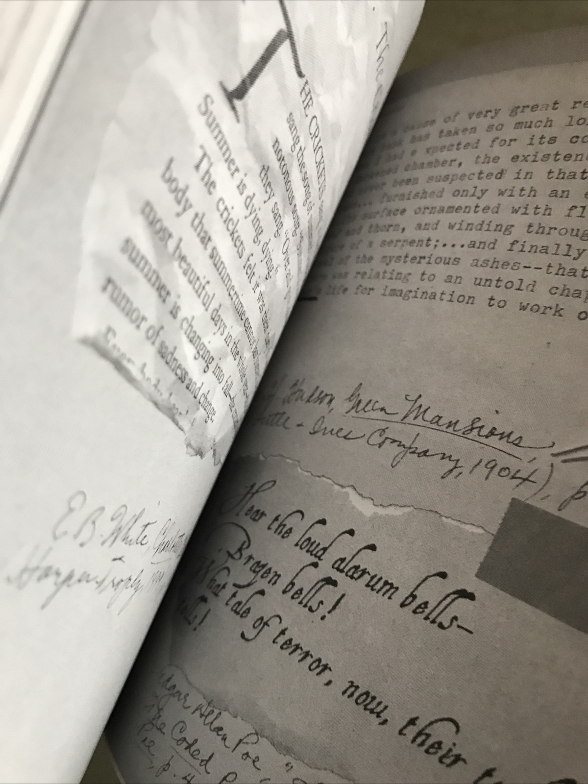 Lemony Snicket: The Unauthorized Autobiography, Series of unfortunate ...