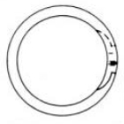 SR WS-150 - External Spirolox Ring for 1.5" Shaft - Medium Duty | eBay