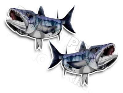 Barracuda Decals Fish Stickers Vinyl Tackle Box Stickers - Set of 2 ...