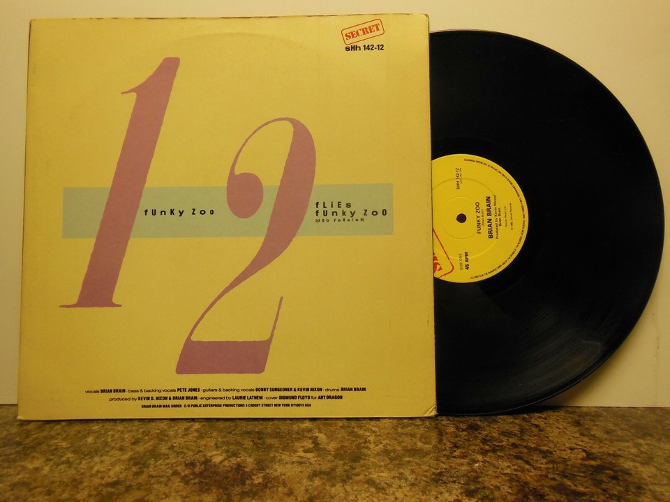 Brian Brain: Funky Zoo / Flies (Dub Version), 12" Single Record, EX | eBay