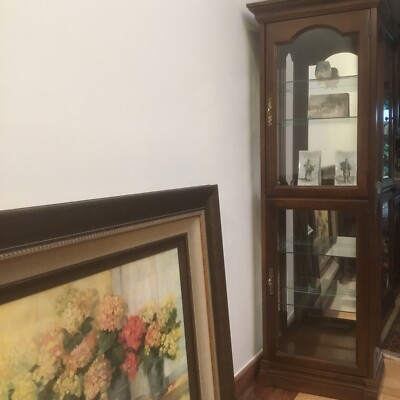 Jasper Curio Cabinet | eBay