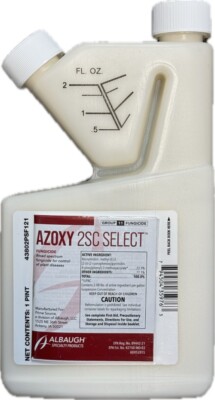 Azoxy 2SC Select Fungicide - 1 Pint (Compare to Heritage) | eBay