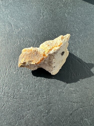 Irish Gold/White 100% Organic, Ambergris, Ambre Gris, Ambra Grisea, 7gr ...