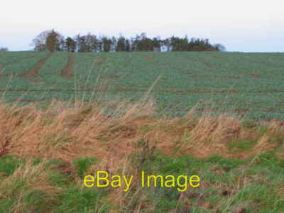 Photo 6x4 Farmland near Gunnerton Fell c2007 | eBay UK