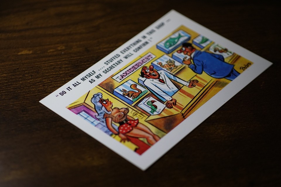 Postcard Seaside Comic Saucy Risqué Taxidermist Shop Sunny Pedro Series ...