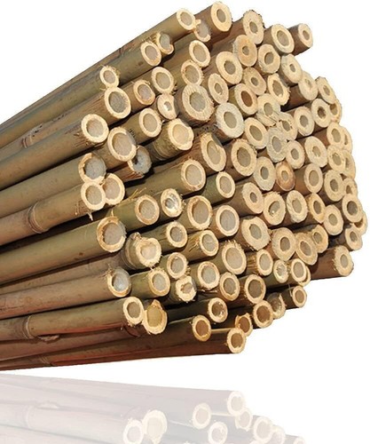 2ft Large Bamboo Canes Heavy Duty Strong Thick Pole Plants Garden ...