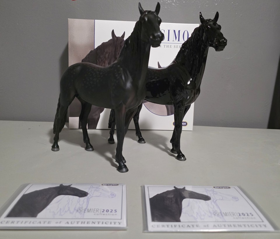 Breyer COSIMO Premier Club 2025 MATTE AND GLOSSY Murgese Stallion | eBay
