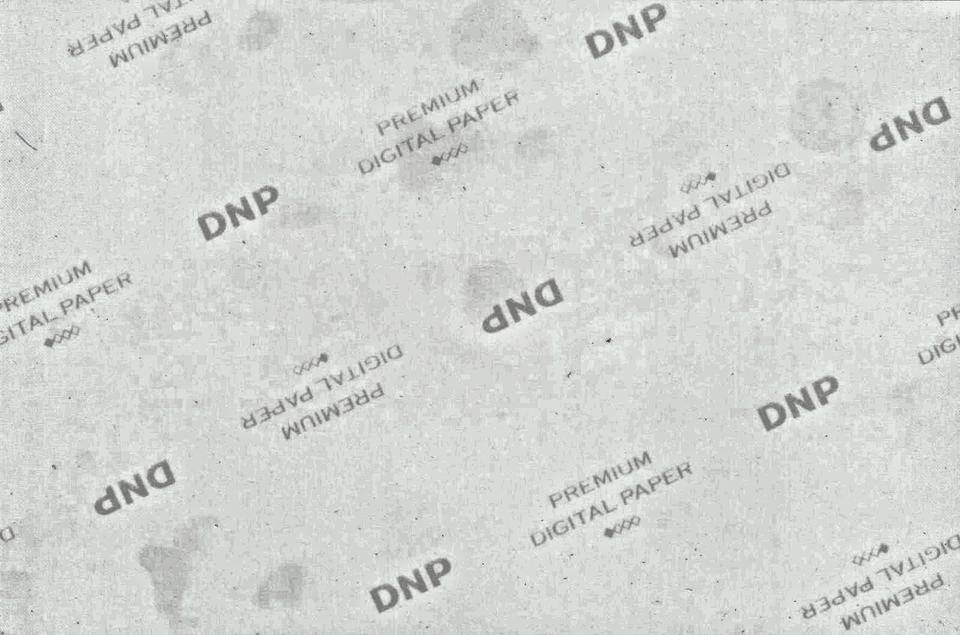 ELIZABETH HURLE-hollywood MOVIE star PIN-UP/ CHEESECAKE 2020s modern ...