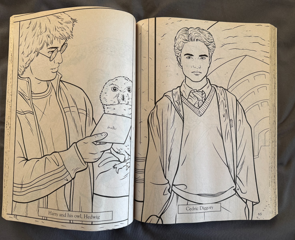 HARRY POTTER Deluxe Coloring Book Over 300 Pages NEW | eBay