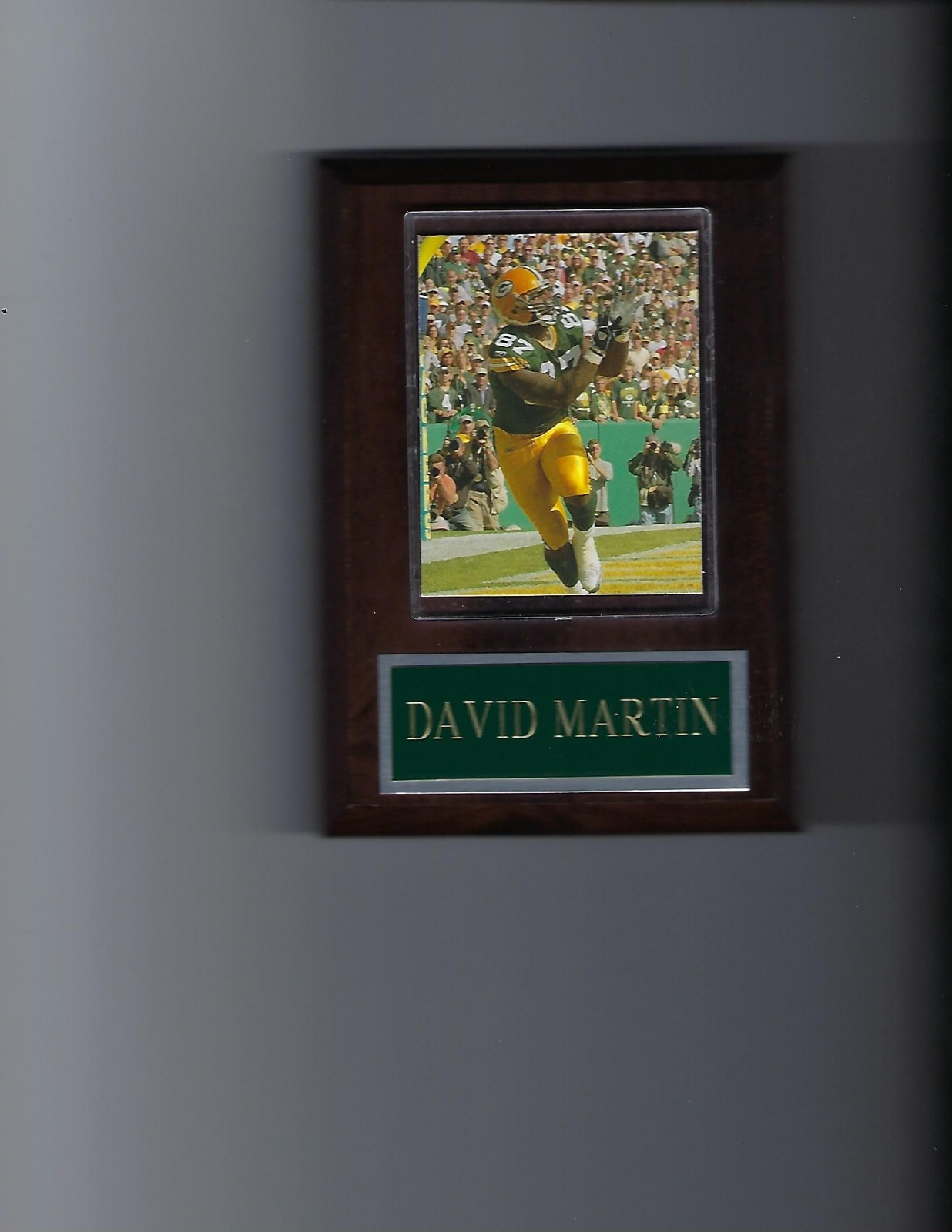 DAVID MARTIN PLAQUE GREEN BAY PACKERS FOOTBALL NFL | eBay