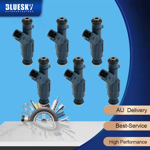 6pcs Fuel Injectors Fit Ford BA BF Falcon XT Fairlaine XR6 Territory ...