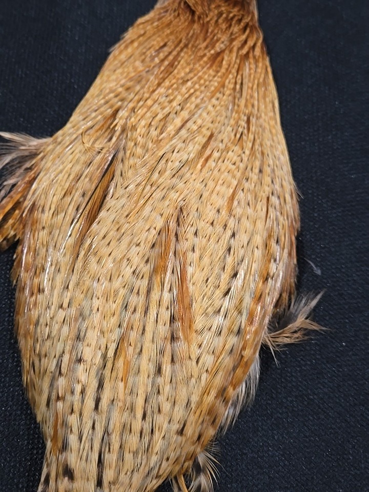 Barred Ginger Rooster Neck Cape Fly Tying Fishing Hackle Feathers ...