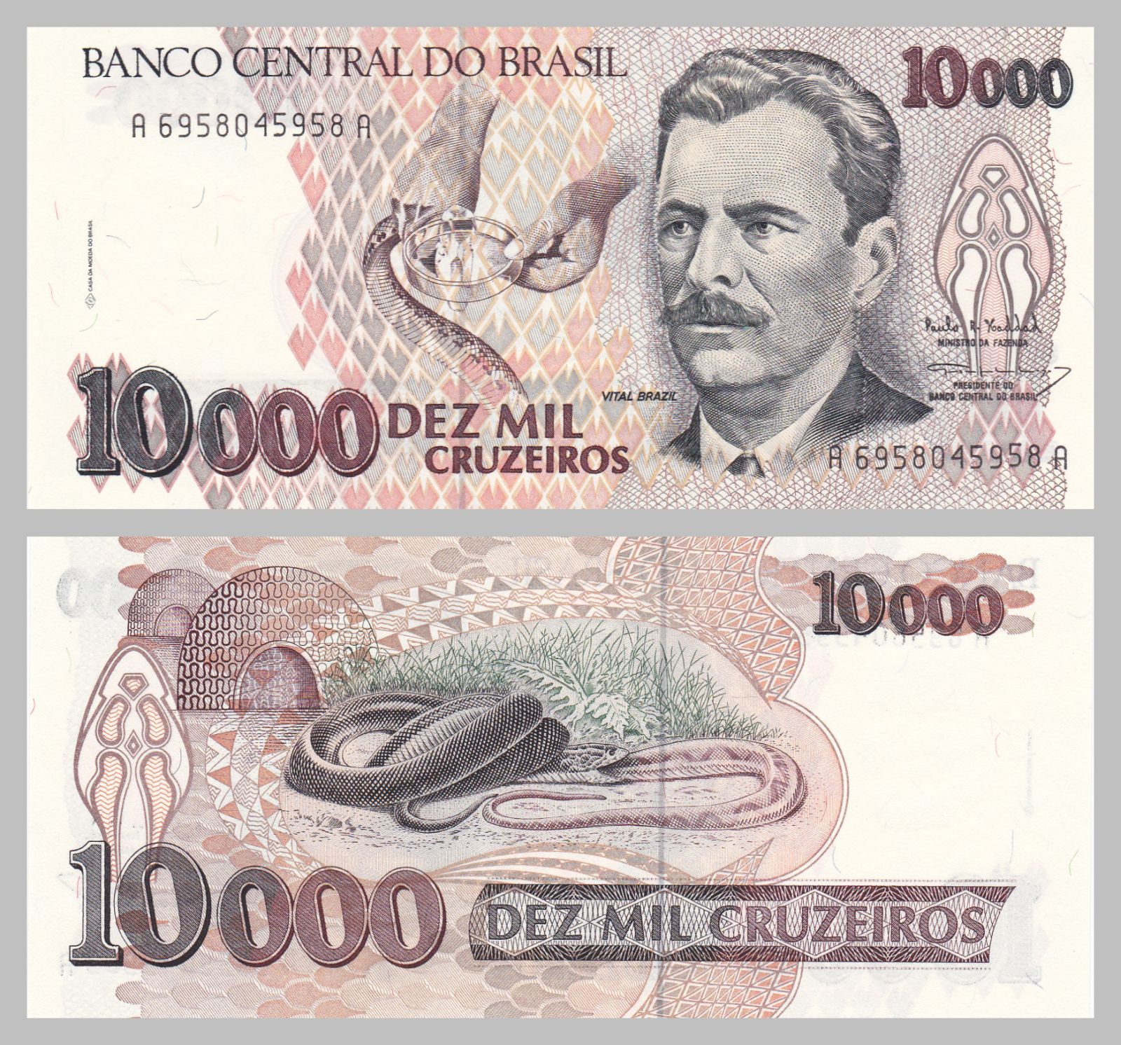 Brazil/Brazil 10000 Cruzeiros 1993 p233c uncirculated | eBay Australia