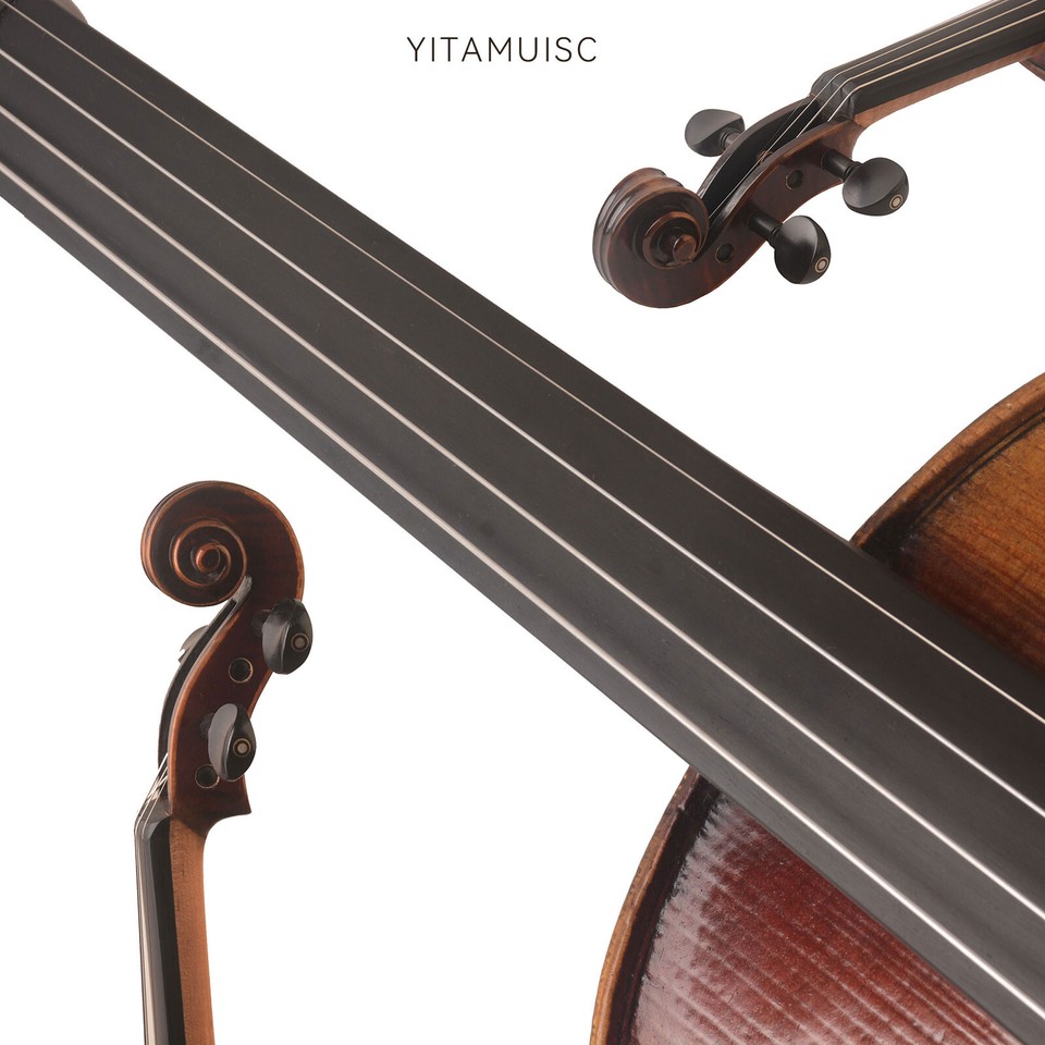 Special offer!Advanced Dark Oil anti Strad model 4/4Violin outfit!Free ...